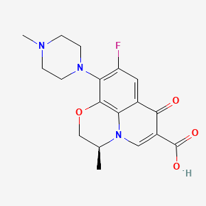 Levofloxacin: Uses & Dosage | MIMS Indonesia