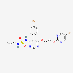 Macitentan: Uses & Dosage | MIMS Malaysia