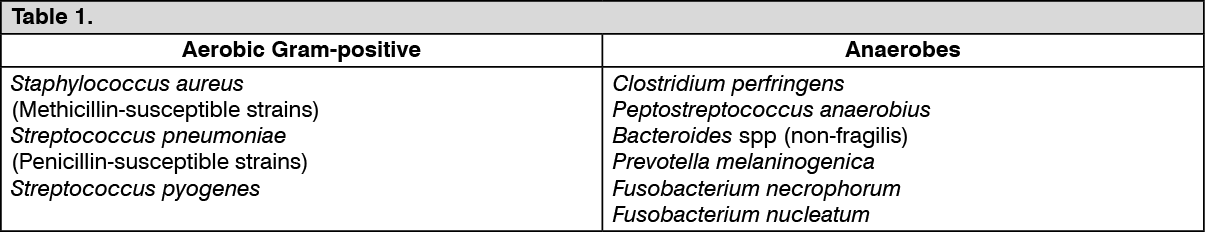 RiteMED Clindamycin | Mechanism of Action | MIMS Philippines